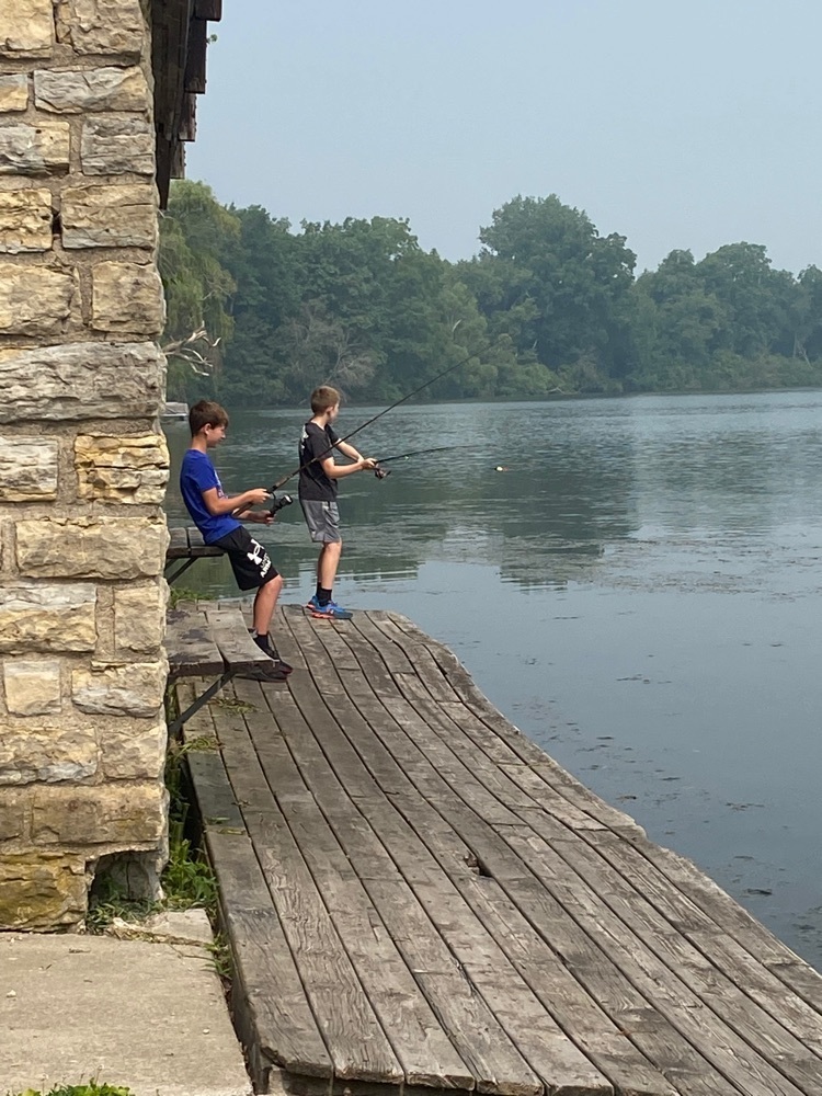 Live Feed | Albany School District