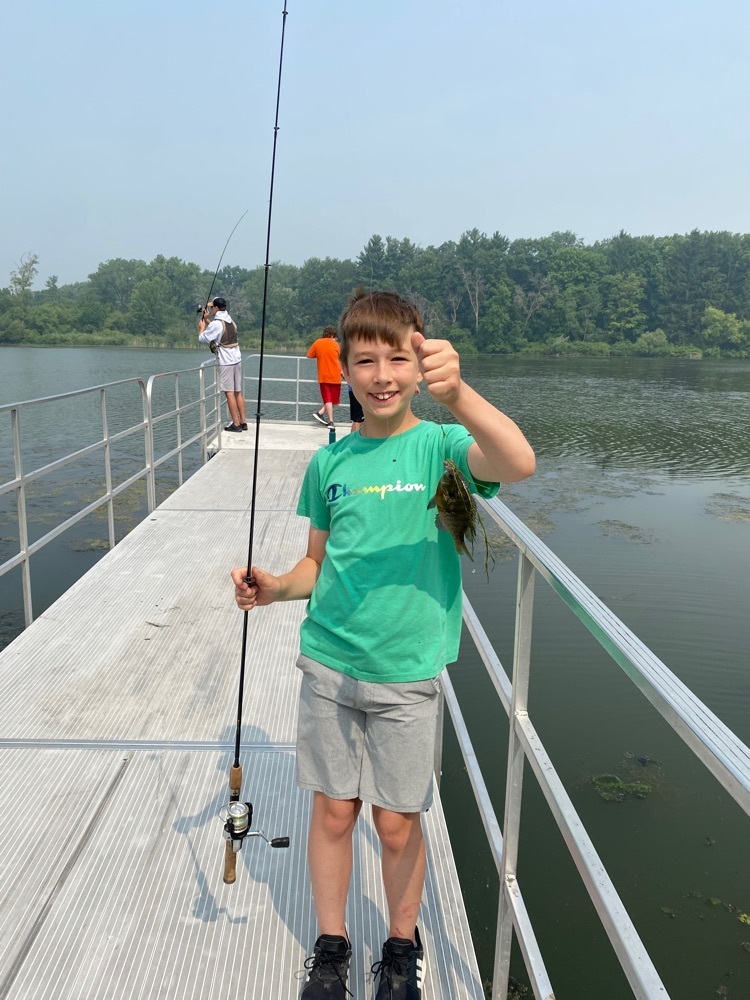 Live Feed | Albany School District